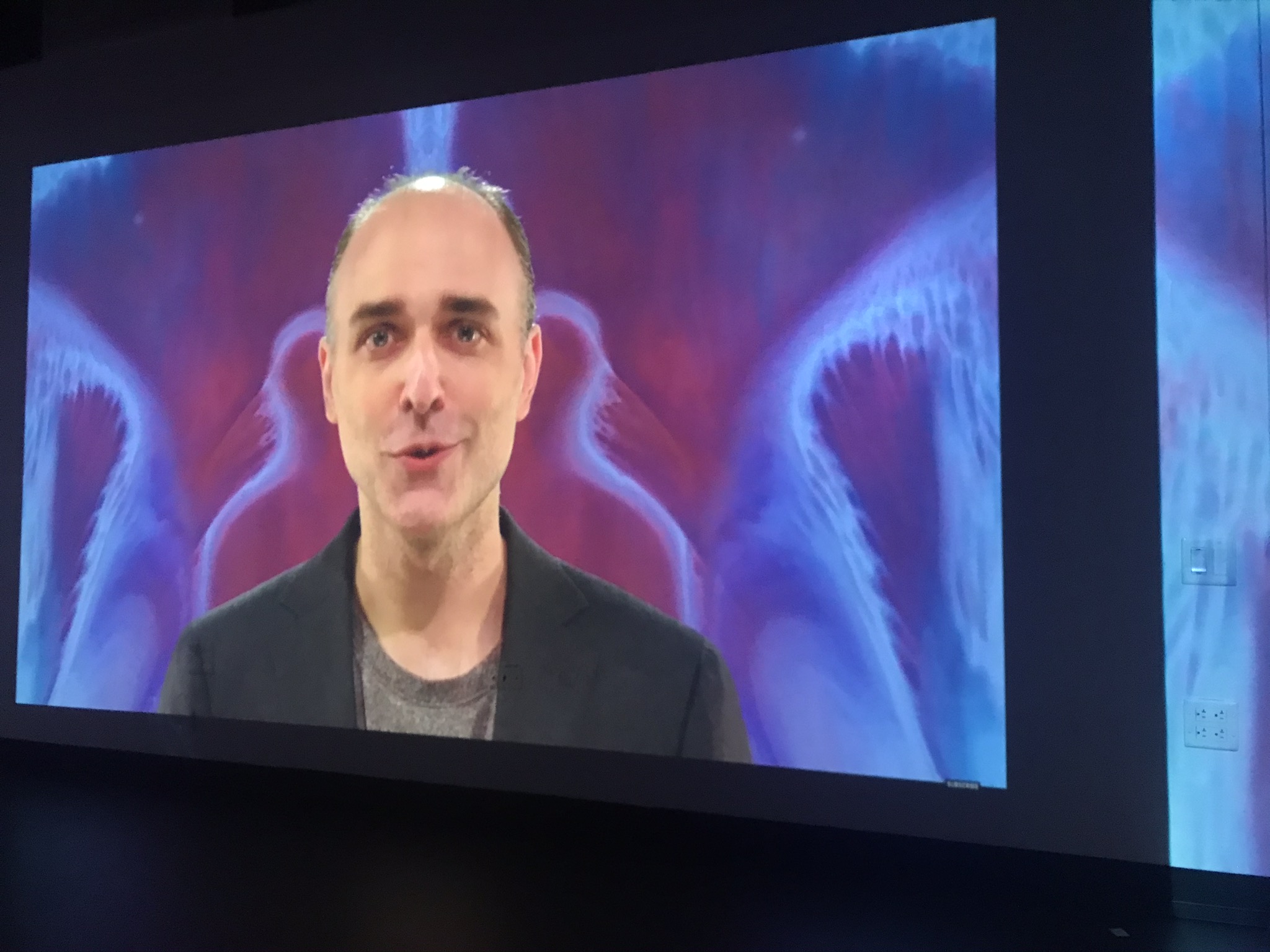 ELEVATOR | MIA ROVEGNO